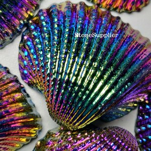 Aura Titanium Coated Shell Wholesale Prices Titanium Coated Shells ...
