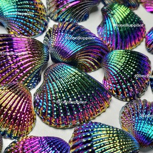 Aura Titanium Coated Shell Wholesale Prices Titanium Coated Shells ...