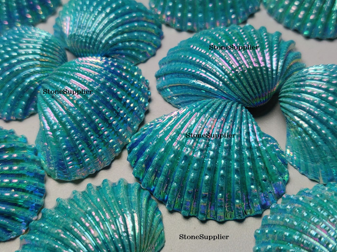 Wholesale Prices Titanium Coated Shells Aura Titanium Coated Shell ...