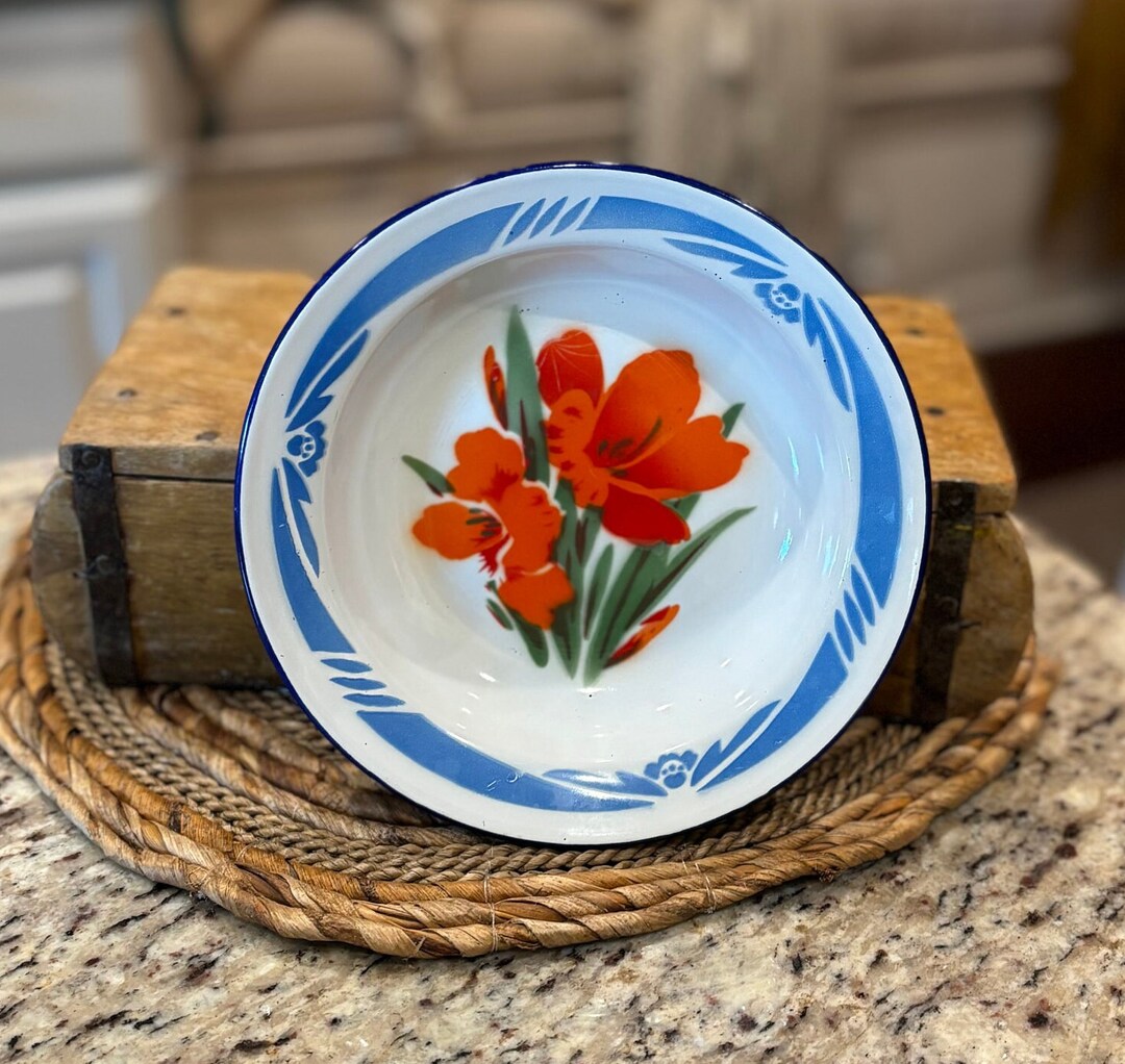 Vintage 1960's Enamelware Bowl, Stamped China, Bumper Harvest Pattern ...
