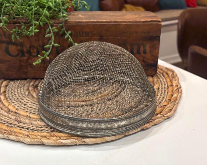 Vintage RARE 1940's Wire Metal Mesh Cloche Food Dome or Cheese or ...