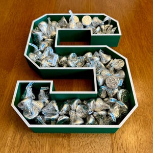 Michigan State University Party Tray - 3D Printed - Licensed Product ...