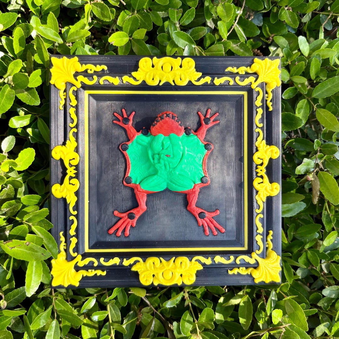 Dissected Frog Wall Art – 3D Printed Oddities Decor – Gothic Science ...