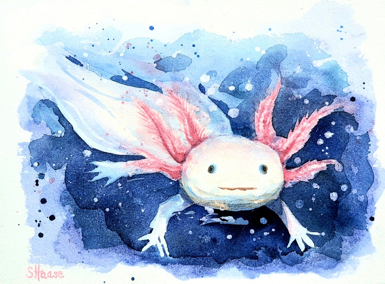 Watercolor Axolotl, Salamander, Newt, Signed and Limited Edition Fine ...