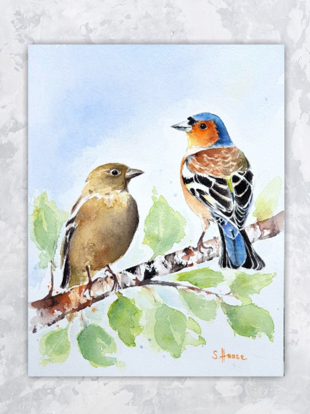 Watercolor Chaffinch Couple, Fine Art Print Chaffinch Hand Signed and ...
