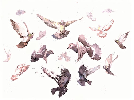 Pigeons Flying Drawing