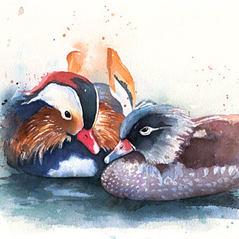 Mandarin Duck Art - Etsy