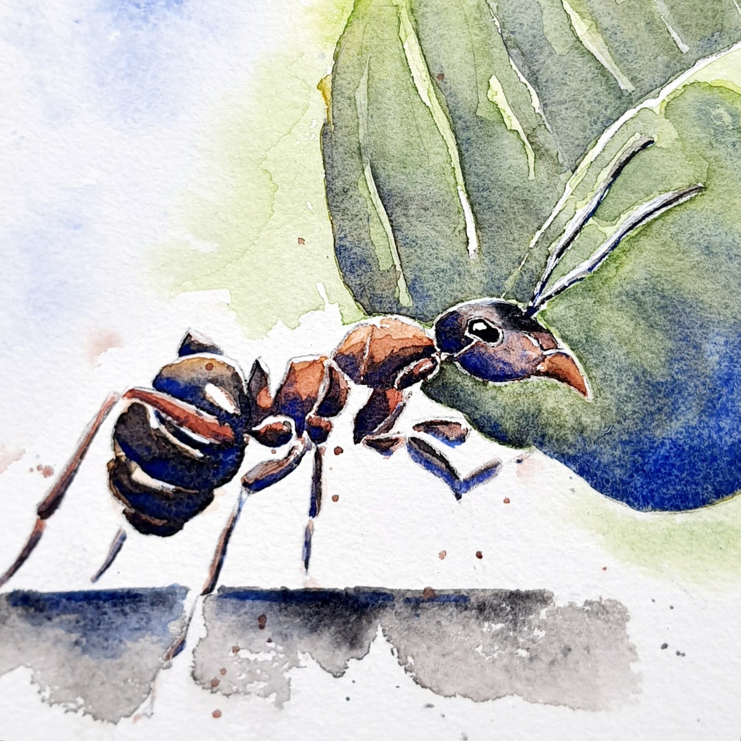 BE STRONG Watercolor Ant With Leaf, Art Print, Hand Signed and Limited ...