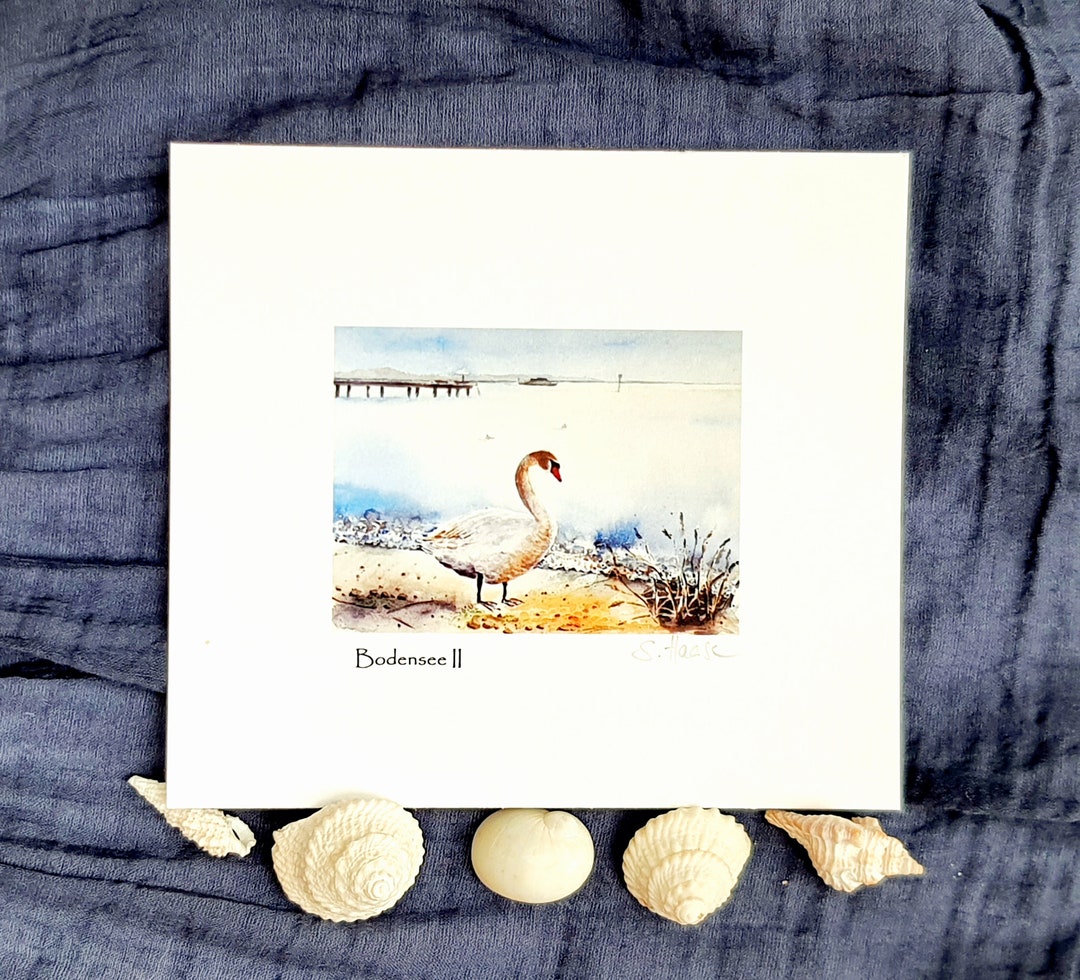 Swan at Lake Constance Mini Art Print After Original - Etsy