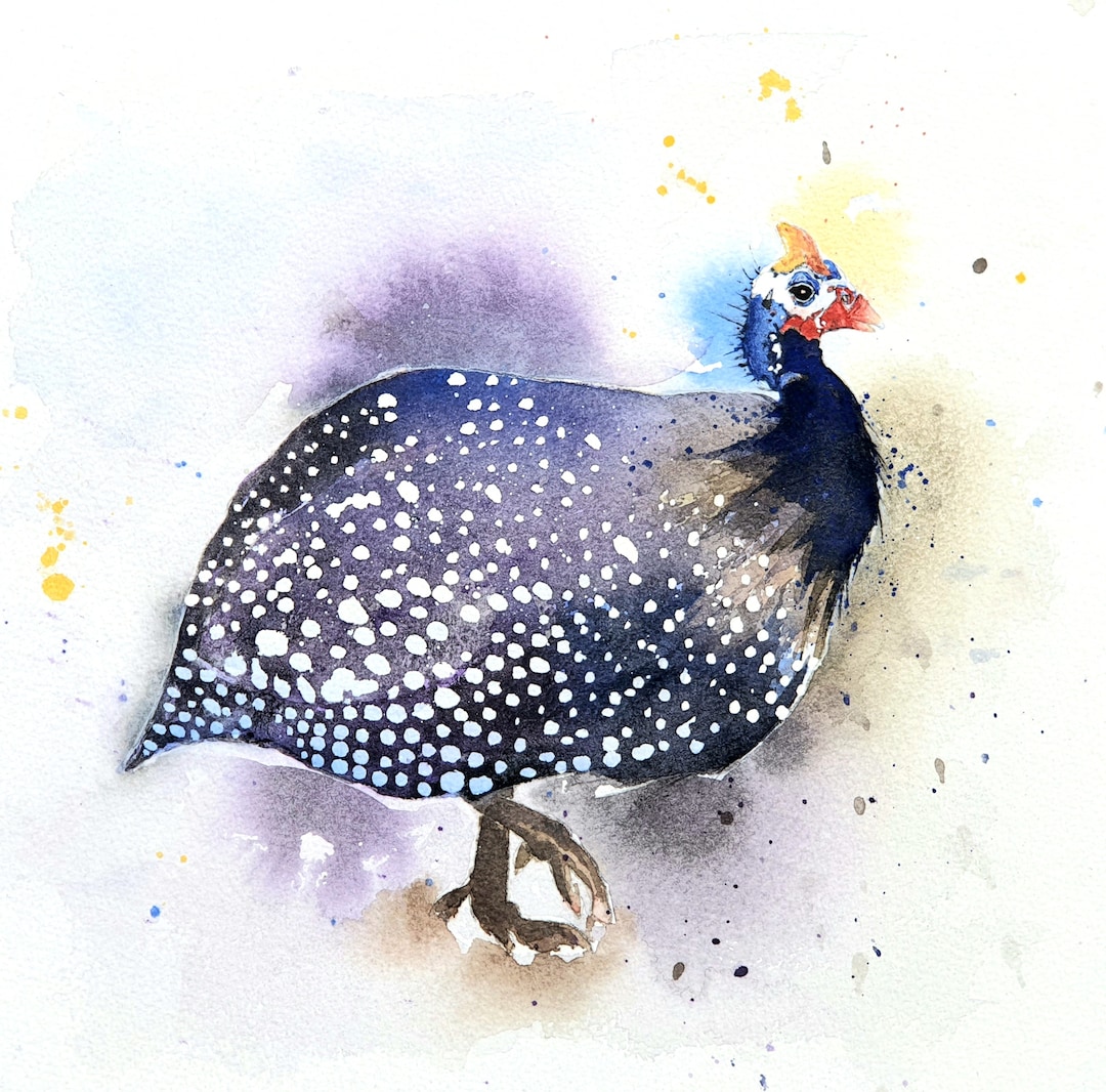 Watercolor Guinea Fowl, Art Print Hand-signed and Limited Edition. - Etsy