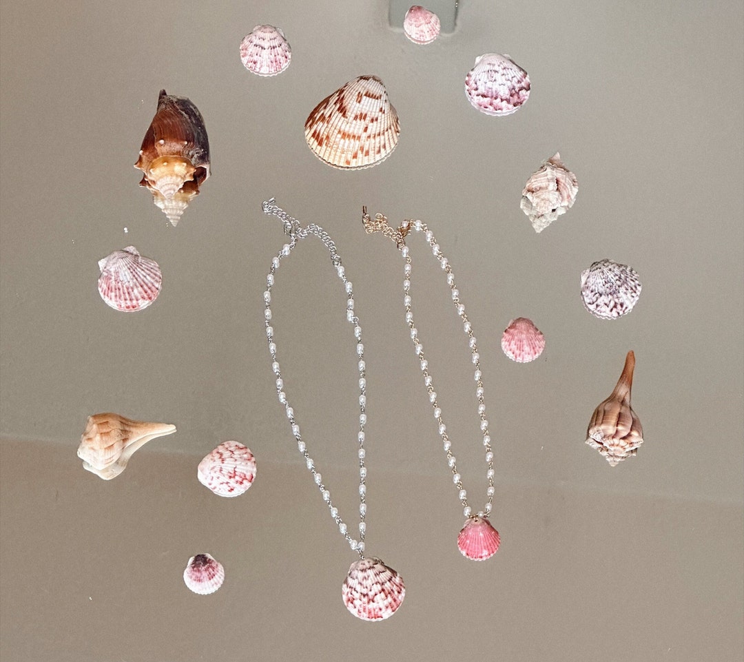 Handpicked Real Scallop Calico Seashell Necklace - Etsy