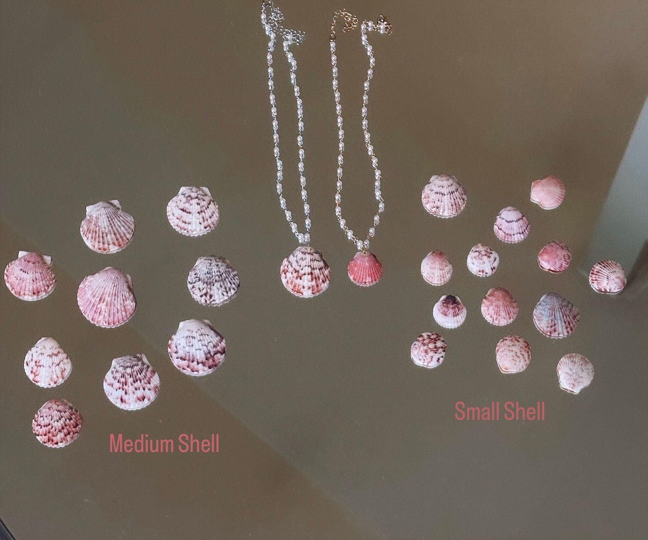 Handpicked Real Scallop Calico Seashell Necklace - Etsy