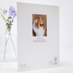 Rough Collie, Lassie Dog Photography - Luxury Blank Greetings Card - Etsy