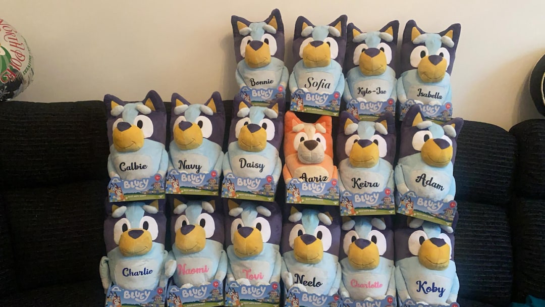 Bluey and Bingo Personalied Teddy Bears - Etsy