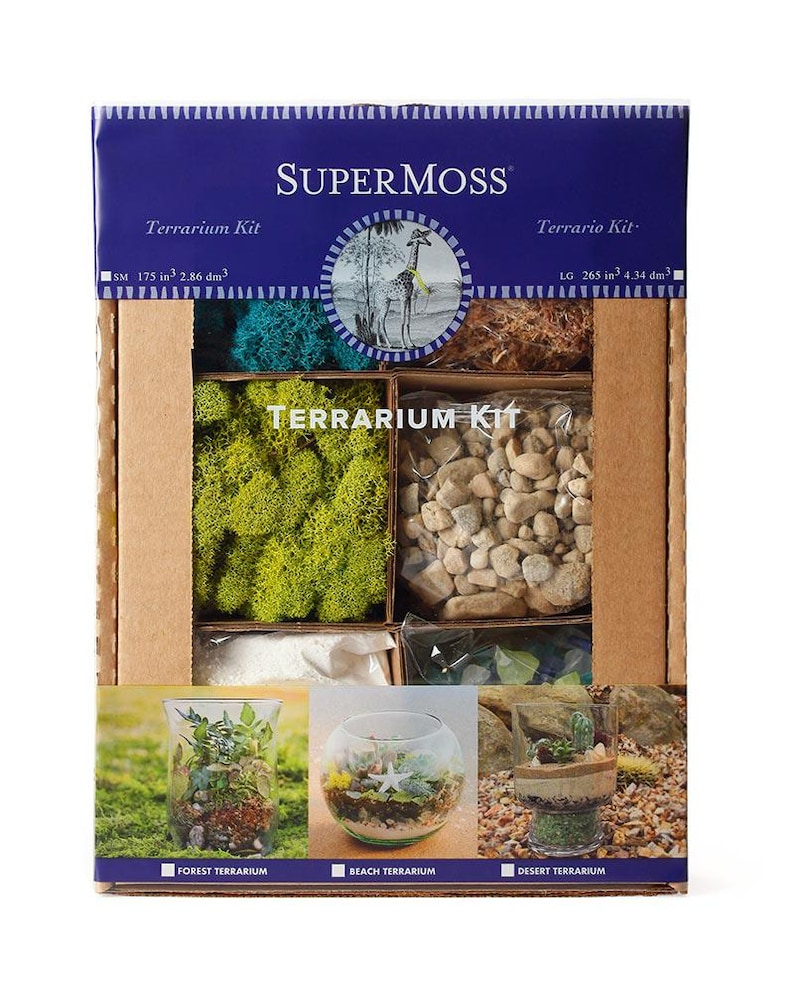 Terrarium DIY Kit - Etsy
