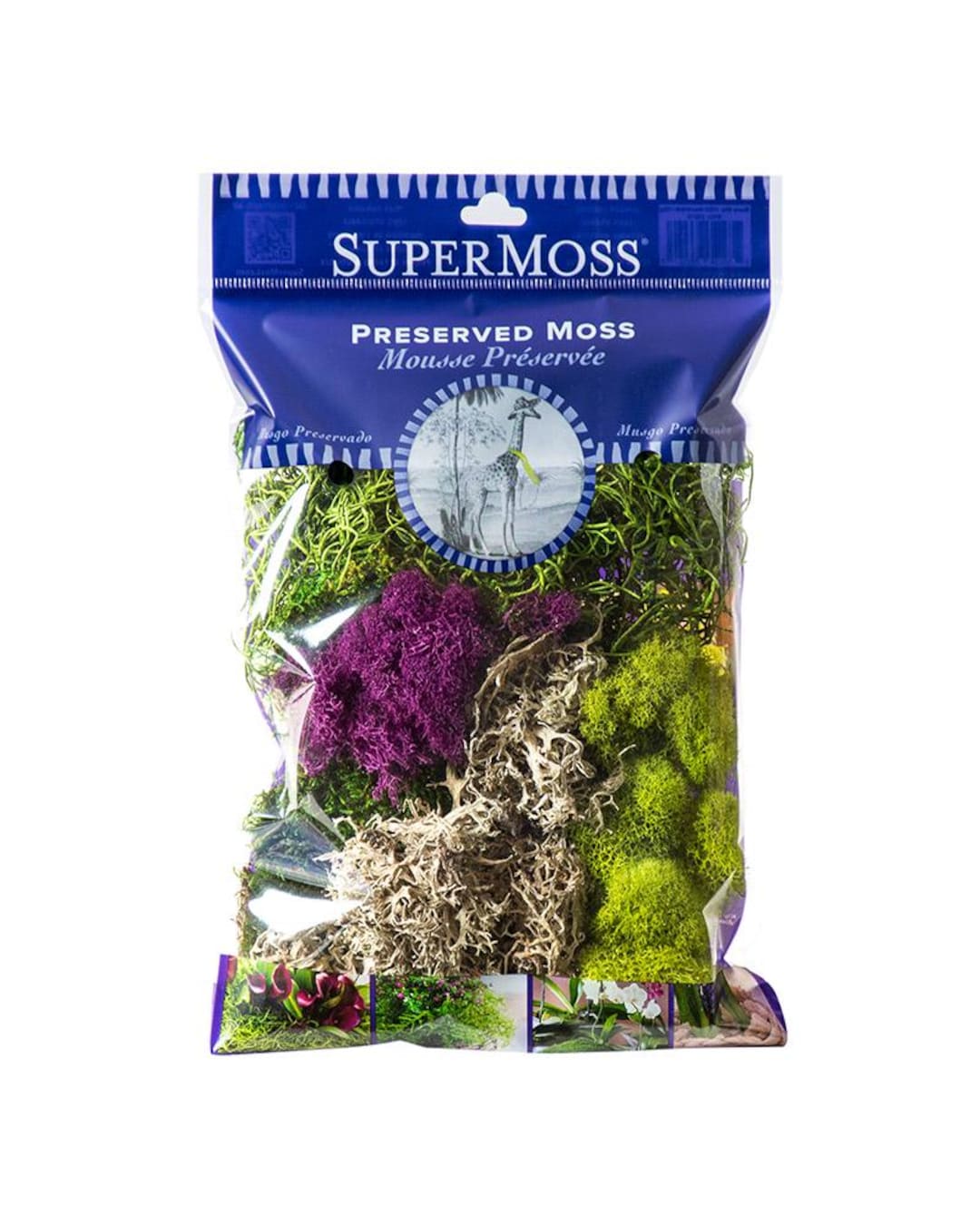 Moss Mix: Spanish, Reindeer, Sheet Moss & Lichen Parmelia - Etsy