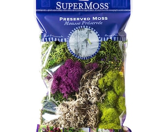 Dusk Moss Mix - Etsy