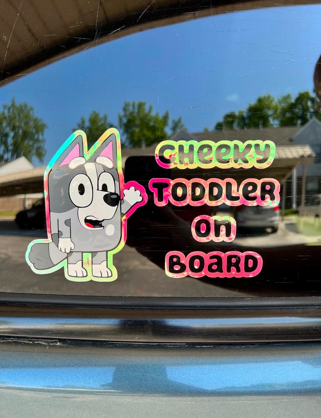 Bluey/muffin/bingo Cheeky Toddlers on Board - Etsy