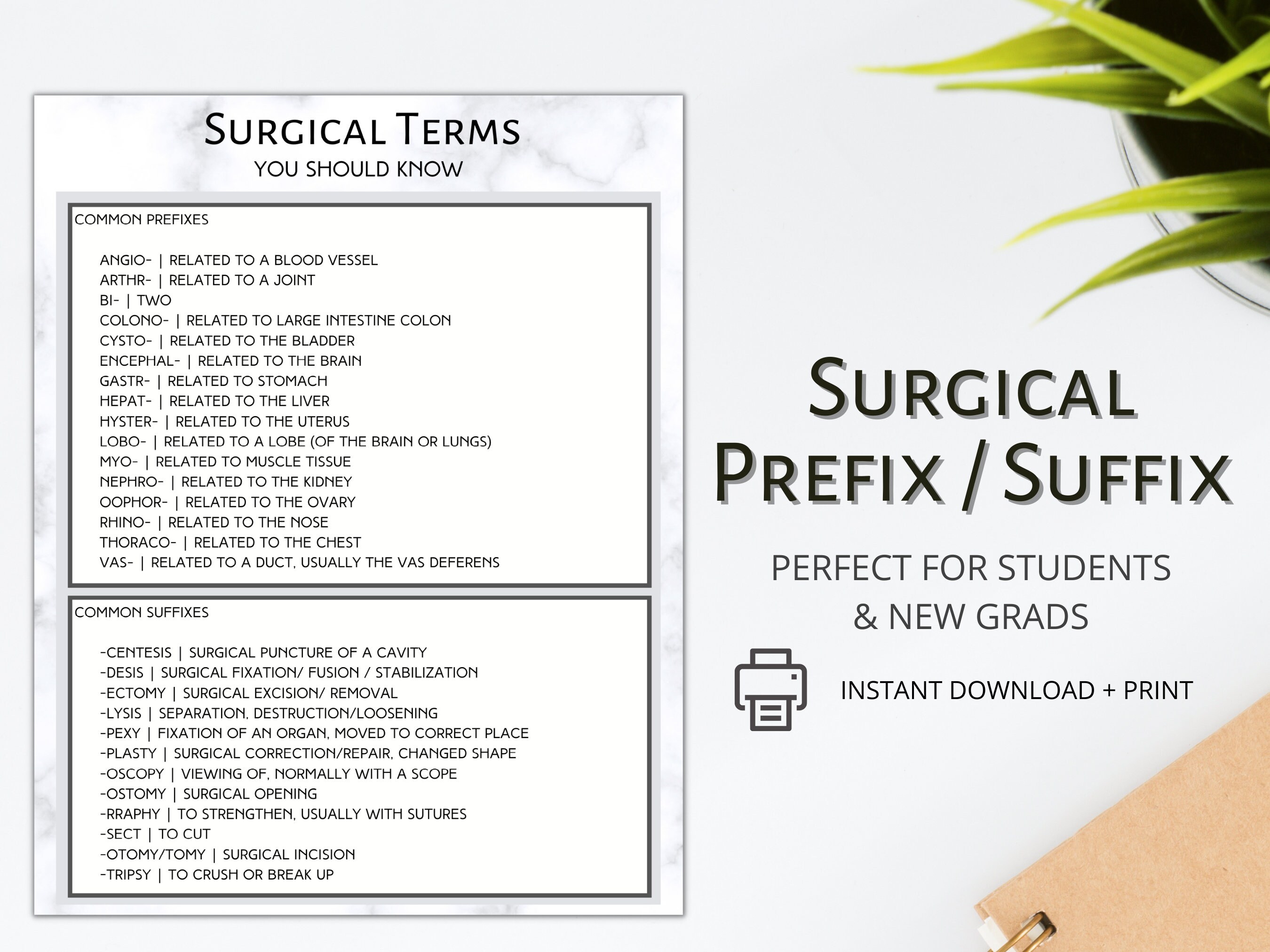 Surgical Terminology Study Guide | Pre-med, Nursing, Anatomy and ...
