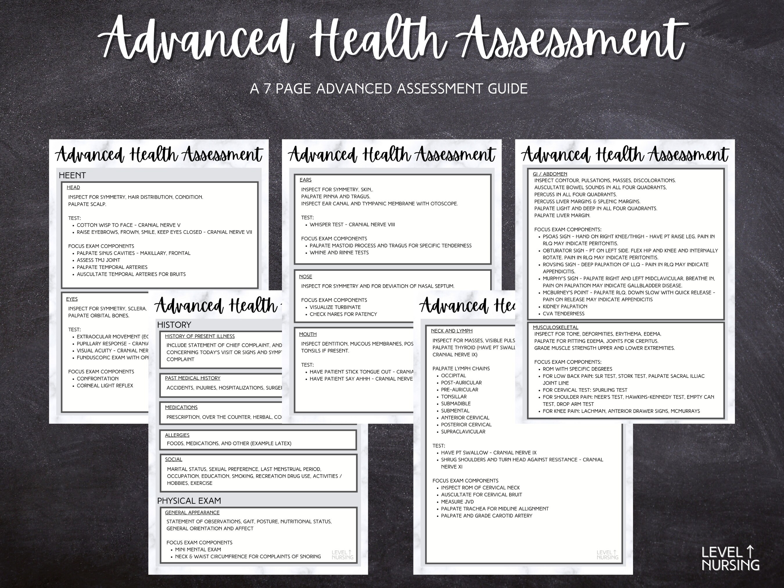 Advanced Health Assessment Nurse Practitioner NP Physician - Etsy