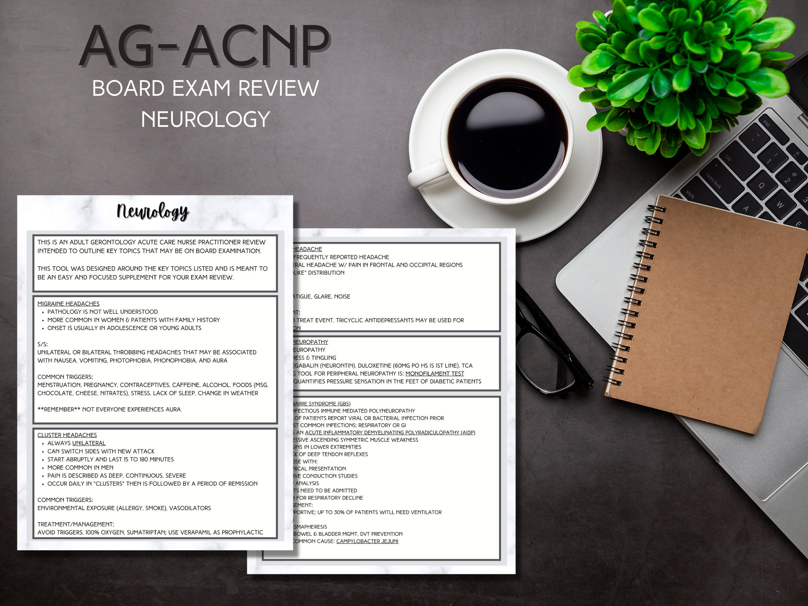 AG-ACNP Board Exam Review | Neurology - Etsy