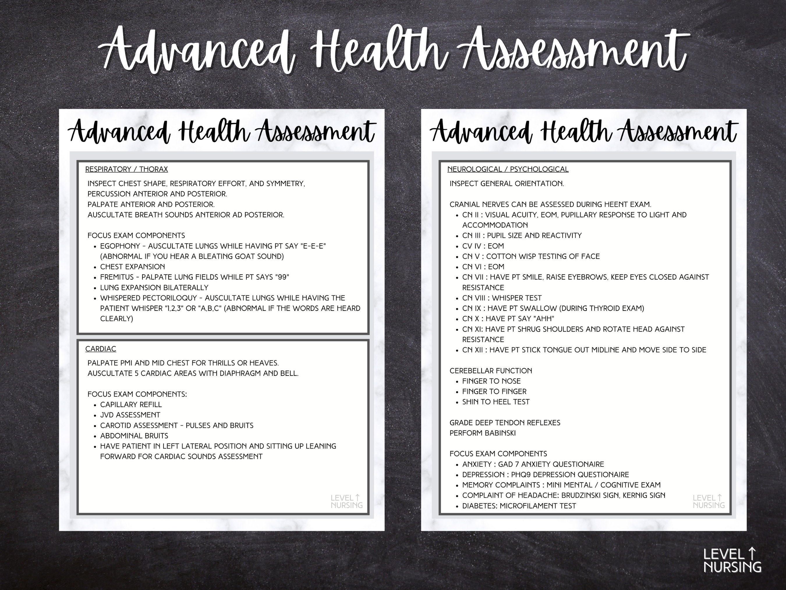 Advanced Health Assessment Nurse Practitioner NP Physician - Etsy