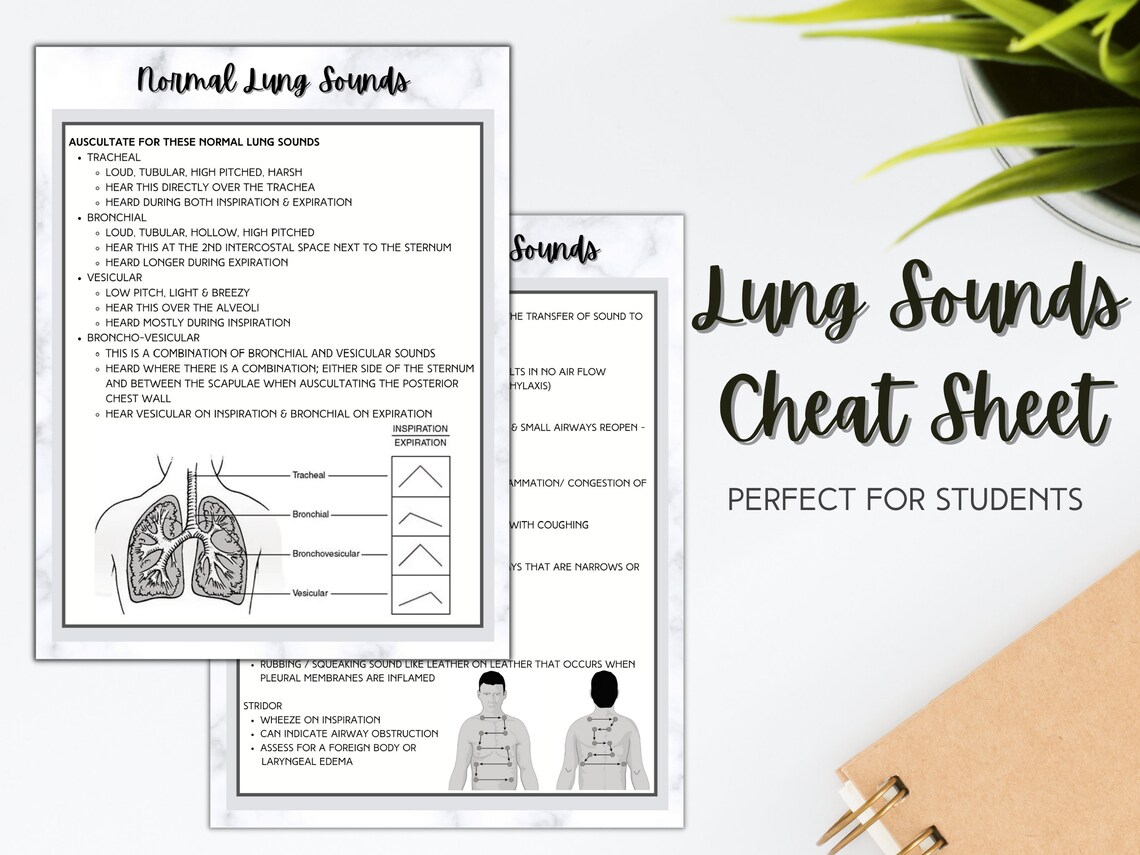 Lung Sounds Cheat Sheet study guide for healthcare | Etsy