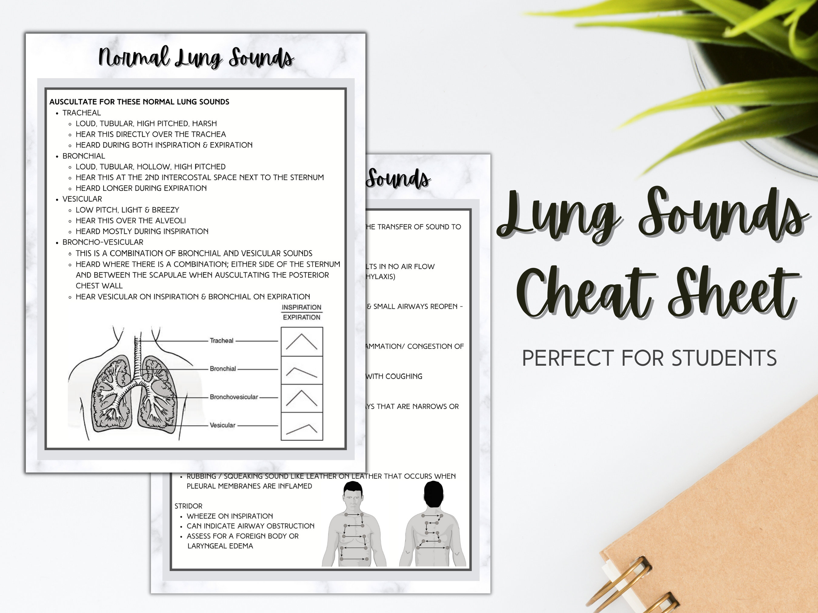 Lung Sounds Cheat Sheet Study Guide for Healthcare - Etsy UK