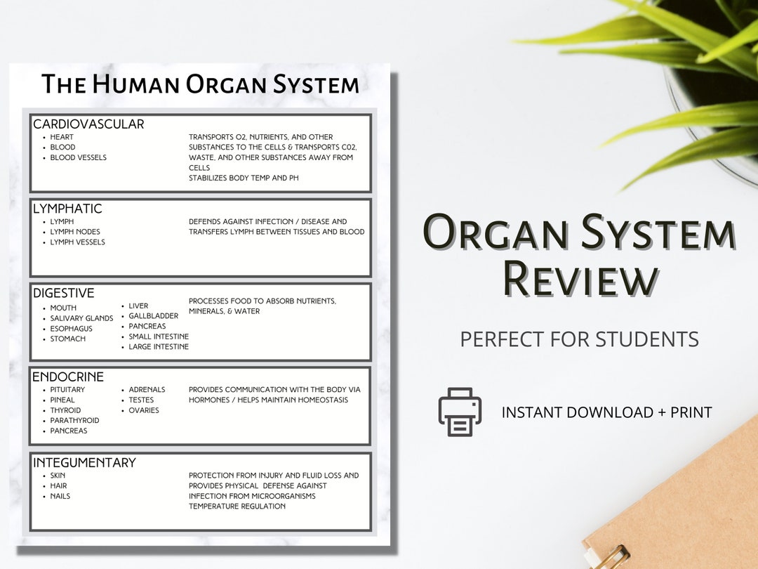 Organ System Study Guide | Pre-med, Nursing, Anatomy and Physiology - Etsy