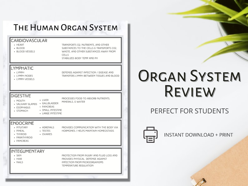 Organ System Study Guide | Pre-med, Nursing, Anatomy and Physiology - Etsy