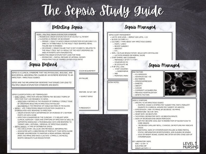 Sepsis ARNP Study Guide | Etsy