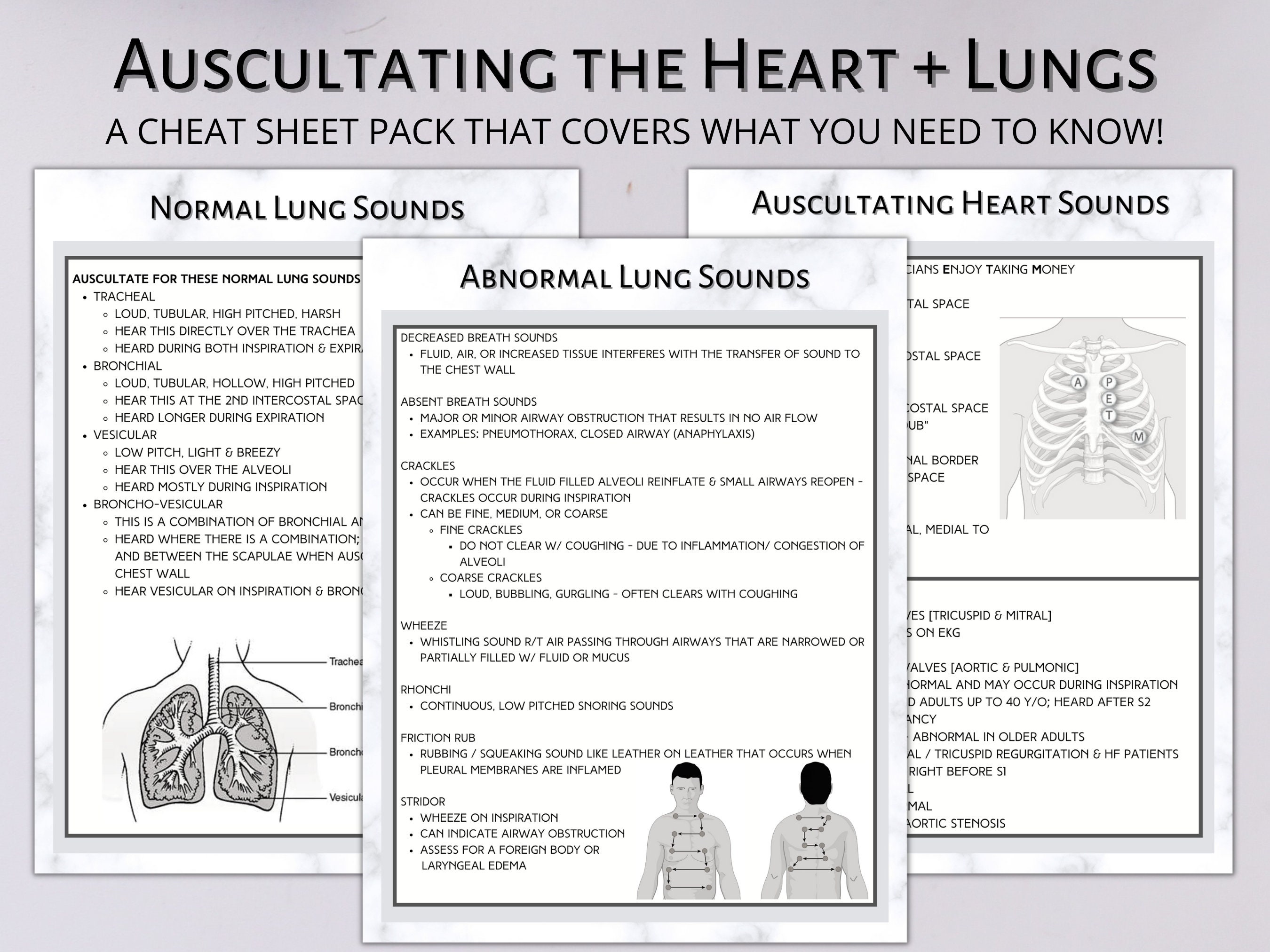 Auscultating the Heart and Lungs | A Cheat Sheet Pack to Master Your ...