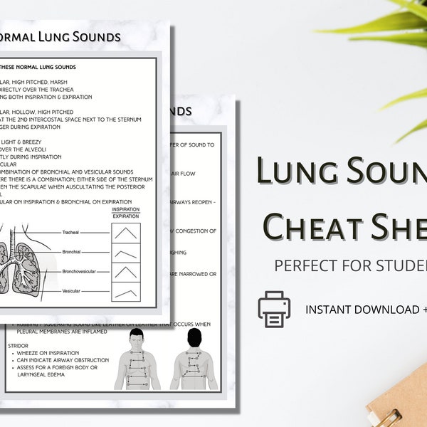 Lung Sounds Cheat Sheet - Etsy