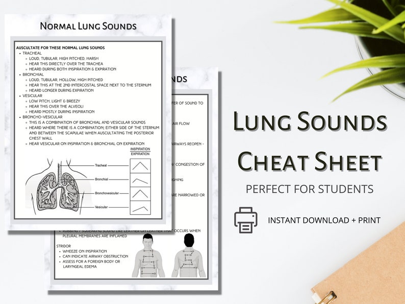 Lung Sounds Cheat Sheet | Study Guide for Healthcare Professional ...