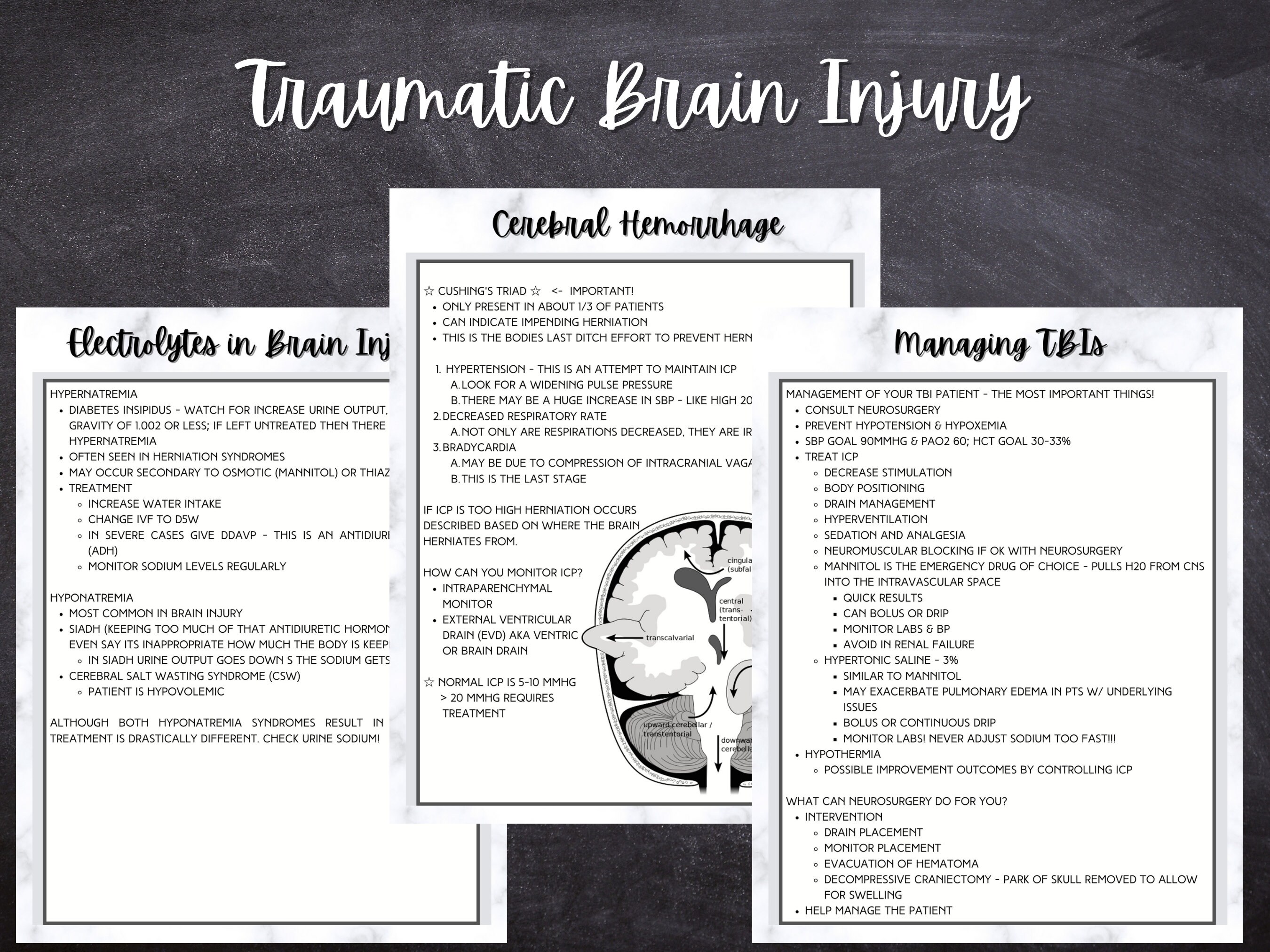 Traumatic Brain Injury | TBI | Neuro Trauma| ARNP Study Guide - Etsy