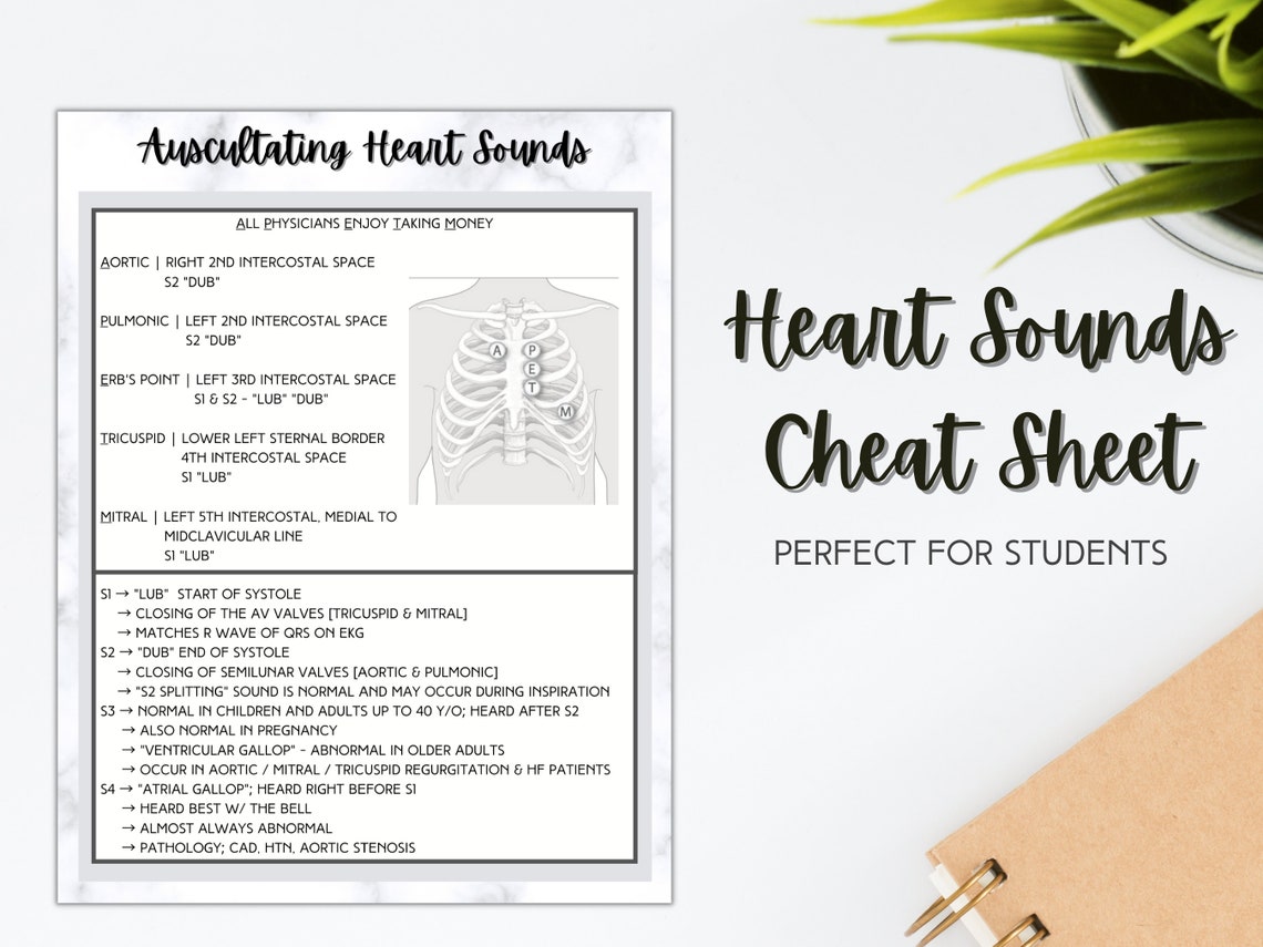 Heart Sounds Cheat Sheet Study Guide for Healthcare | Etsy