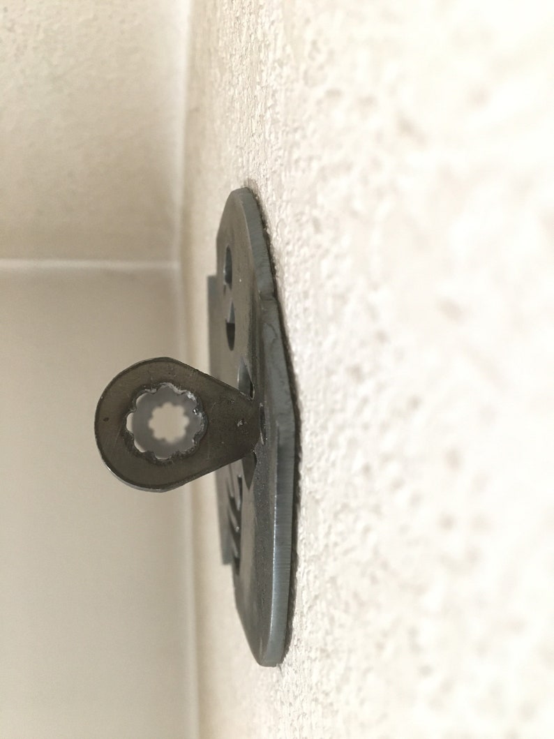 European Deer Head Skull Mount Adjustable Rotating Swivel - Etsy