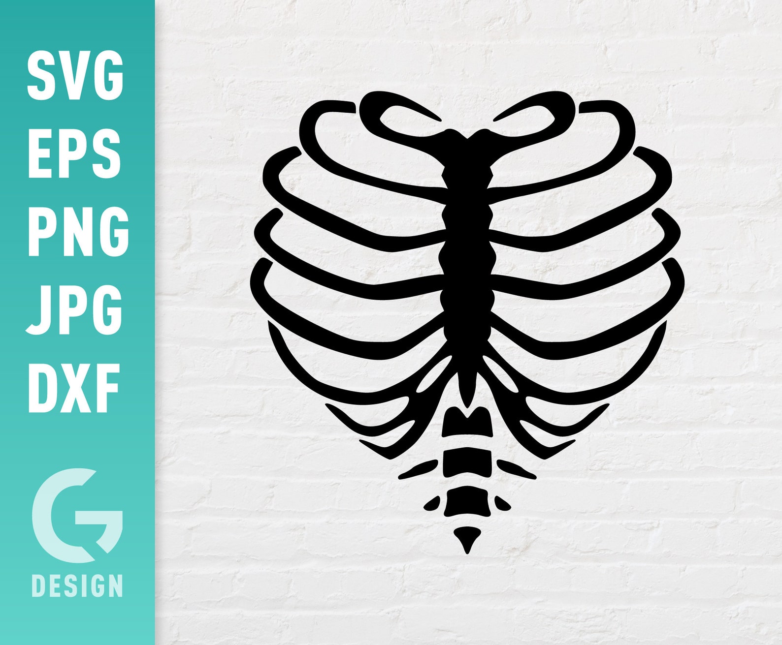 Heart Rib Cage SVG File Png Jpg Dxf Easy to Cut Files Chest - Etsy