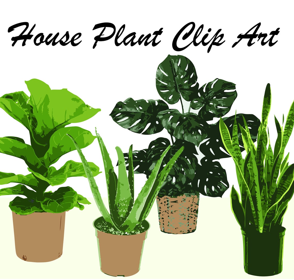 House Plant Clip Art - Etsy