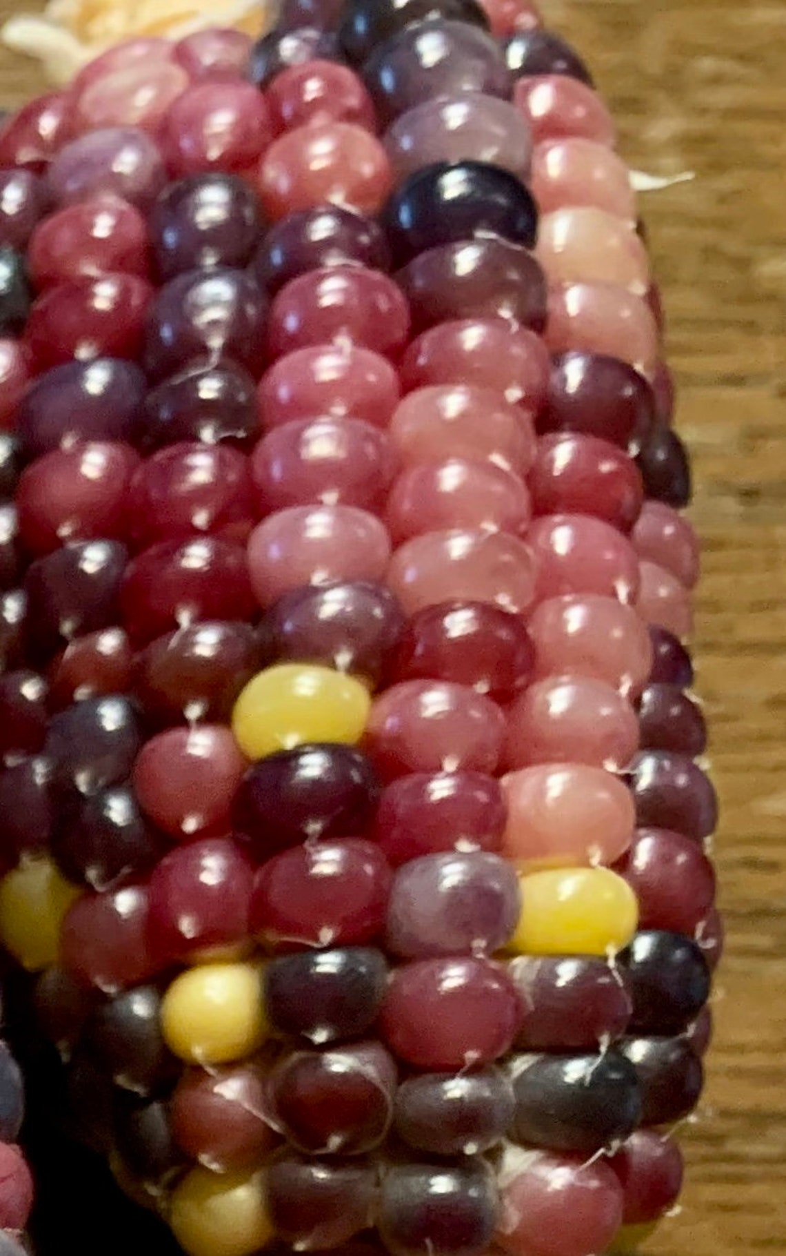 Premium Calico Corn Mothers Day gift idea extra shiny Indian | Etsy