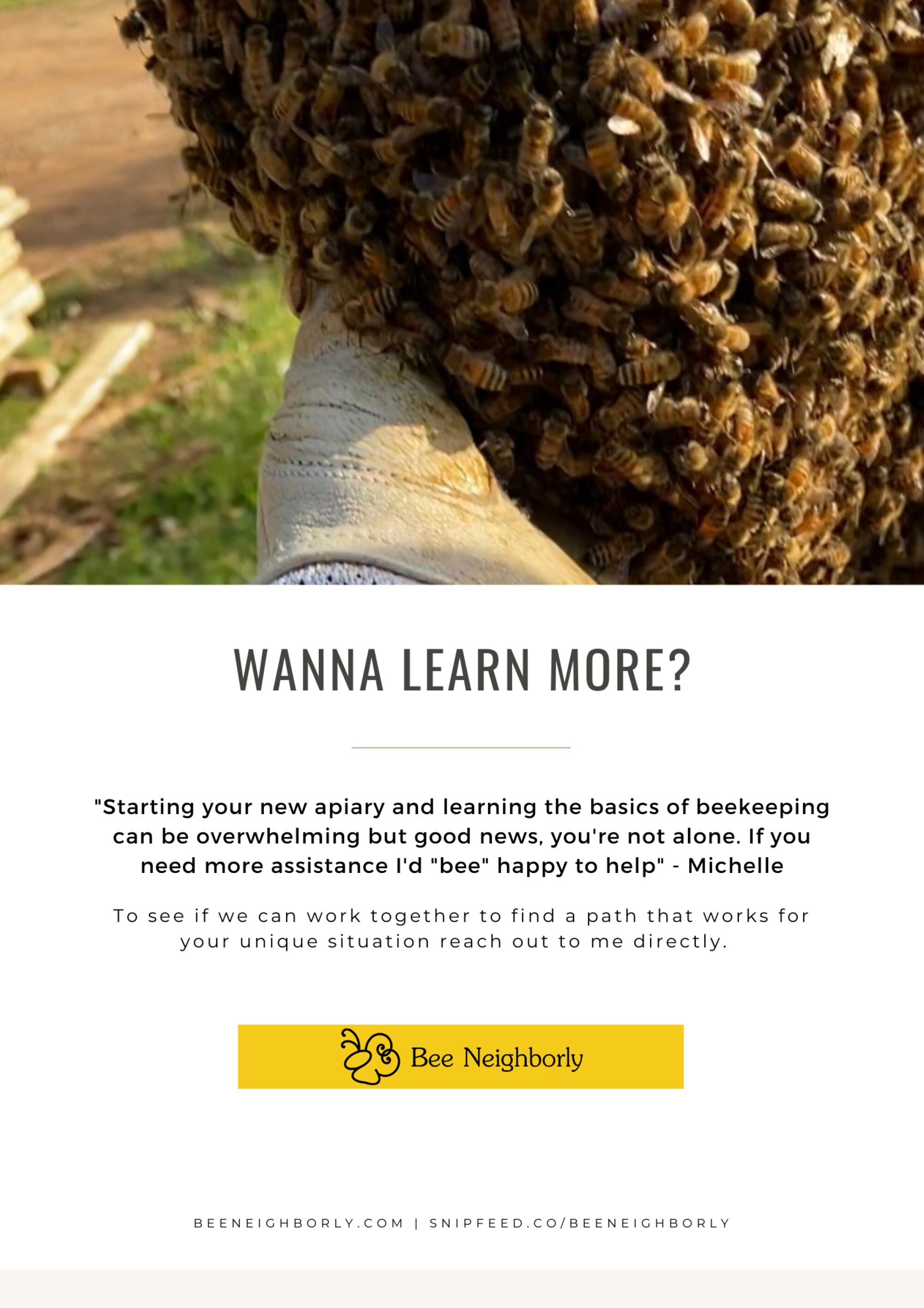 Beginner Beekeeper Roadmap & Buying Guide for Beekeepers DIGITAL ...