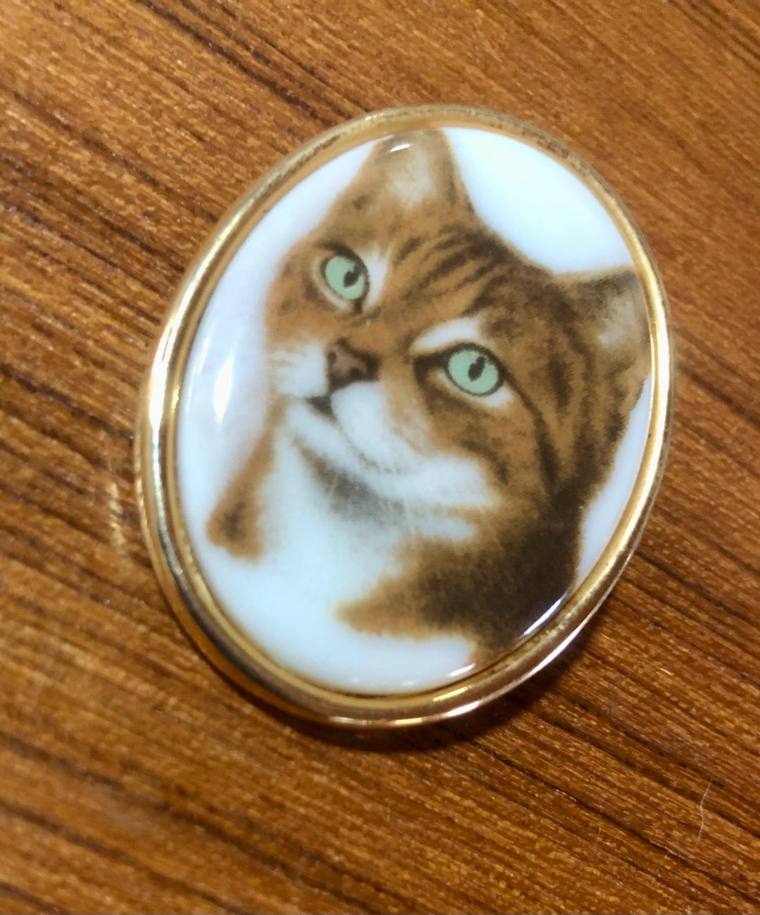 Porcelain Portrait Cameo Ginger Tabby Cat Kitten Green Eyes Brooch Pin ...