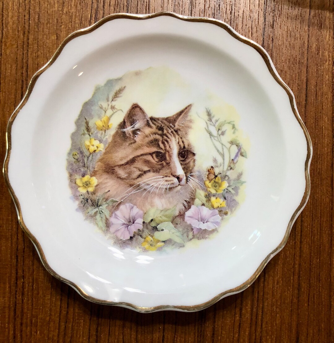 Tabby Cat Kitten Flower Garden AJL Giftware English Bone China Trinket ...