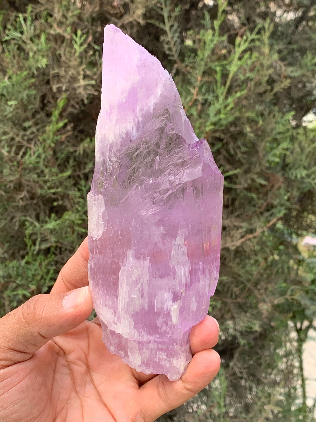 Aesthetic Natural Pink Spodumene Var Kunzite Crystal With Deep Color ...