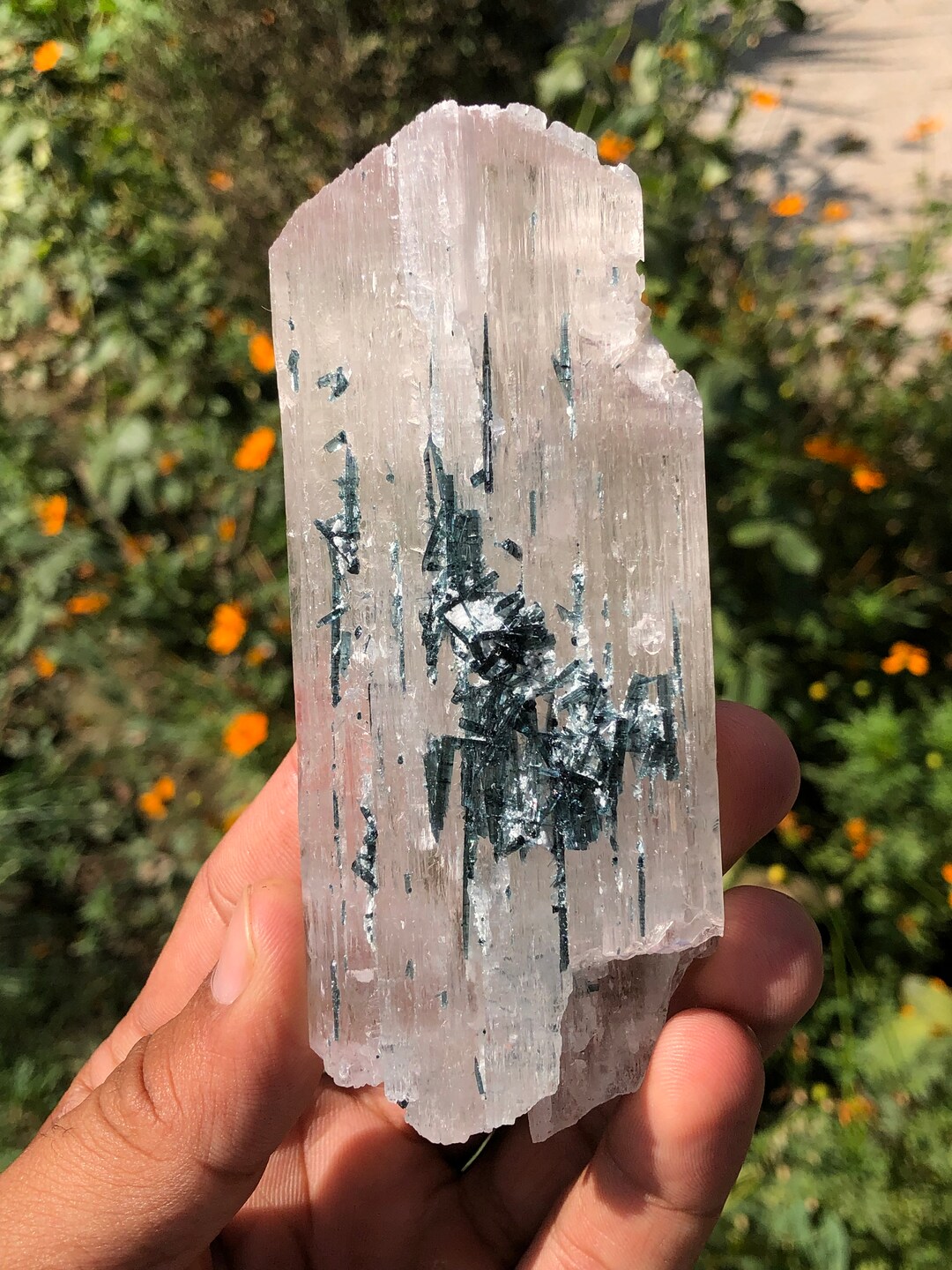 Spodumene Var Pink Kunzite Double Terminated Crystal With Rare ...