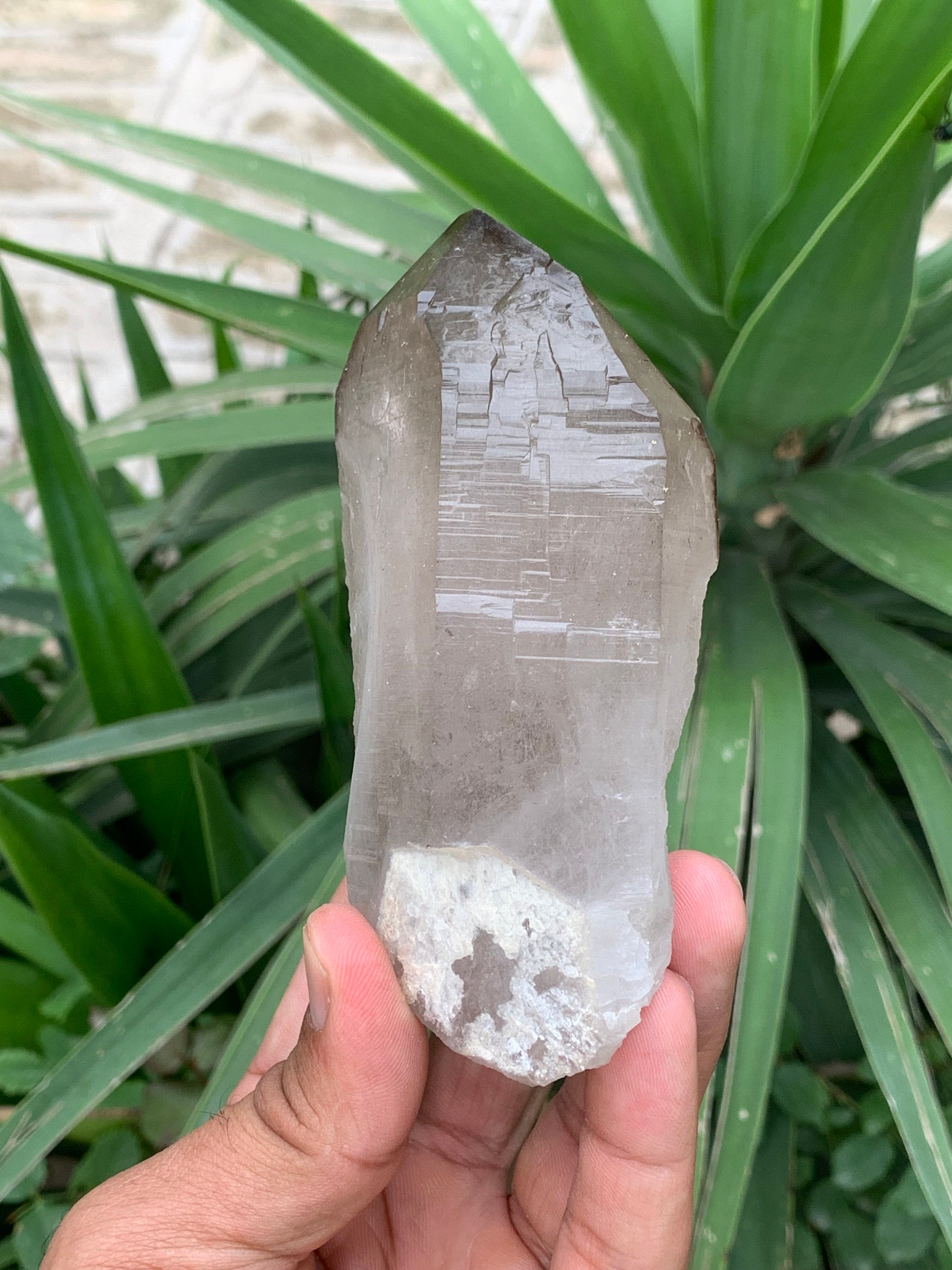 Himalayan Smokey Quartz Crystal Having Sharp Lustre From Skardu ...