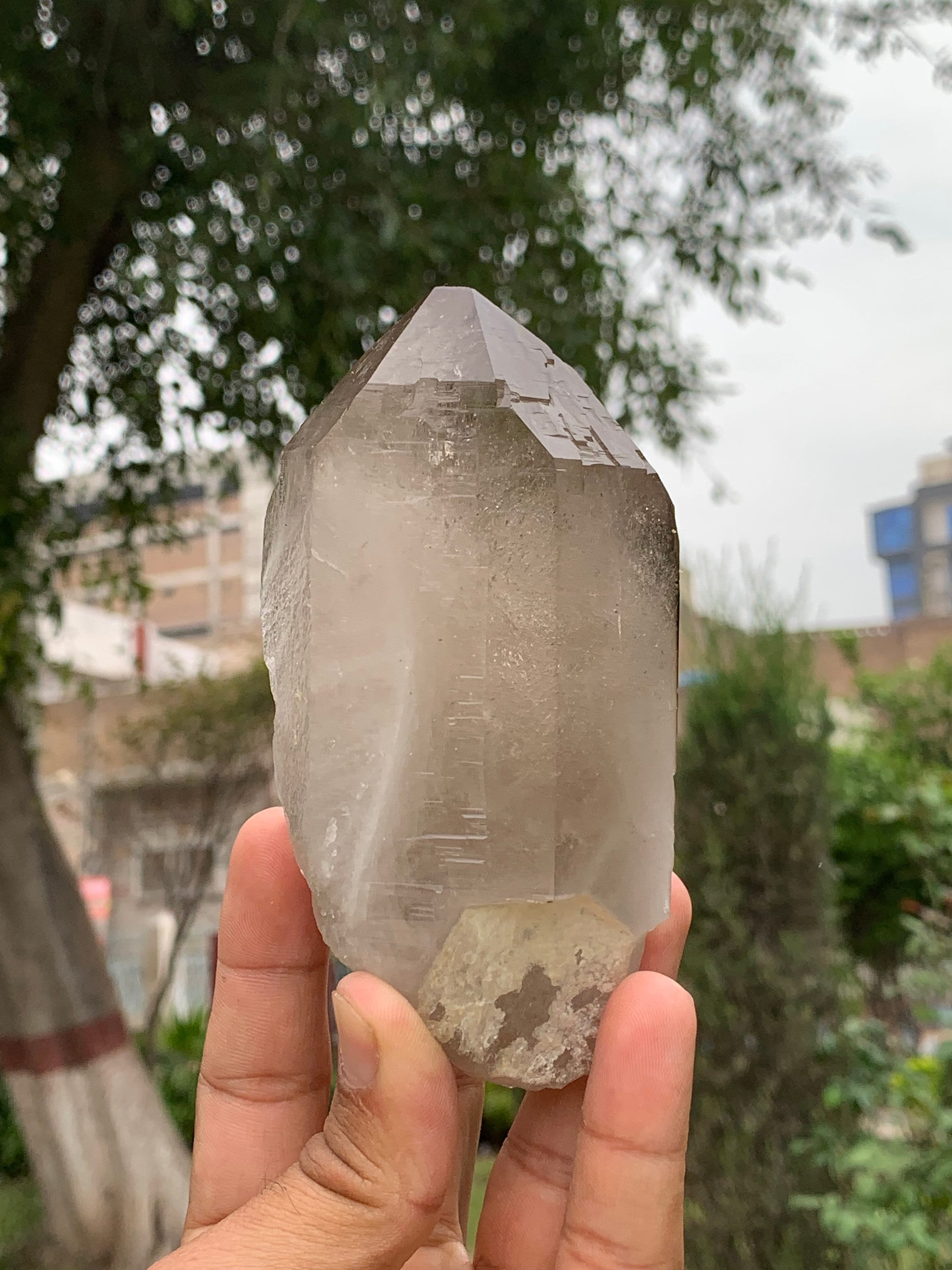 Himalayan Smokey Quartz Crystal Having Sharp Lustre From Skardu ...