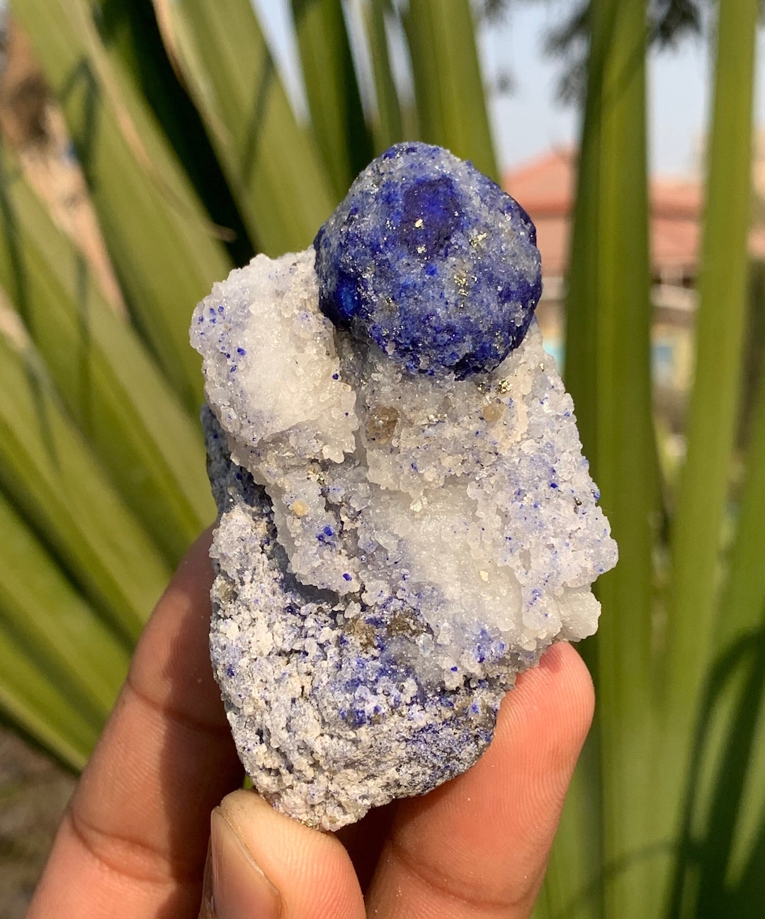 Rich Blue Lazurite Terminated Crystal With Milky White Calcite & Pyrite ...