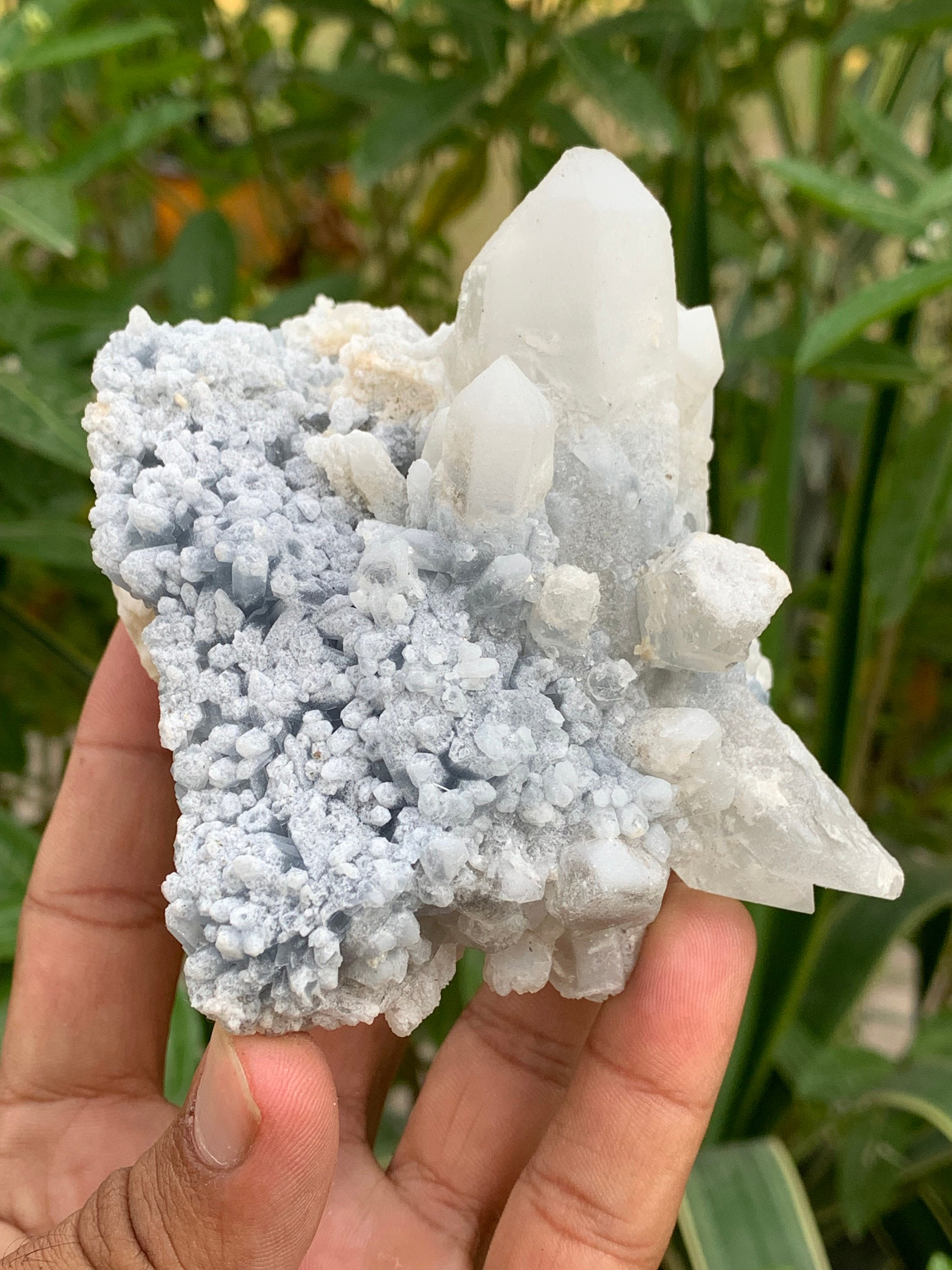 Extremely Rare Blue Quartz & Milky Quartz Crystals Cluster / Quartz ...