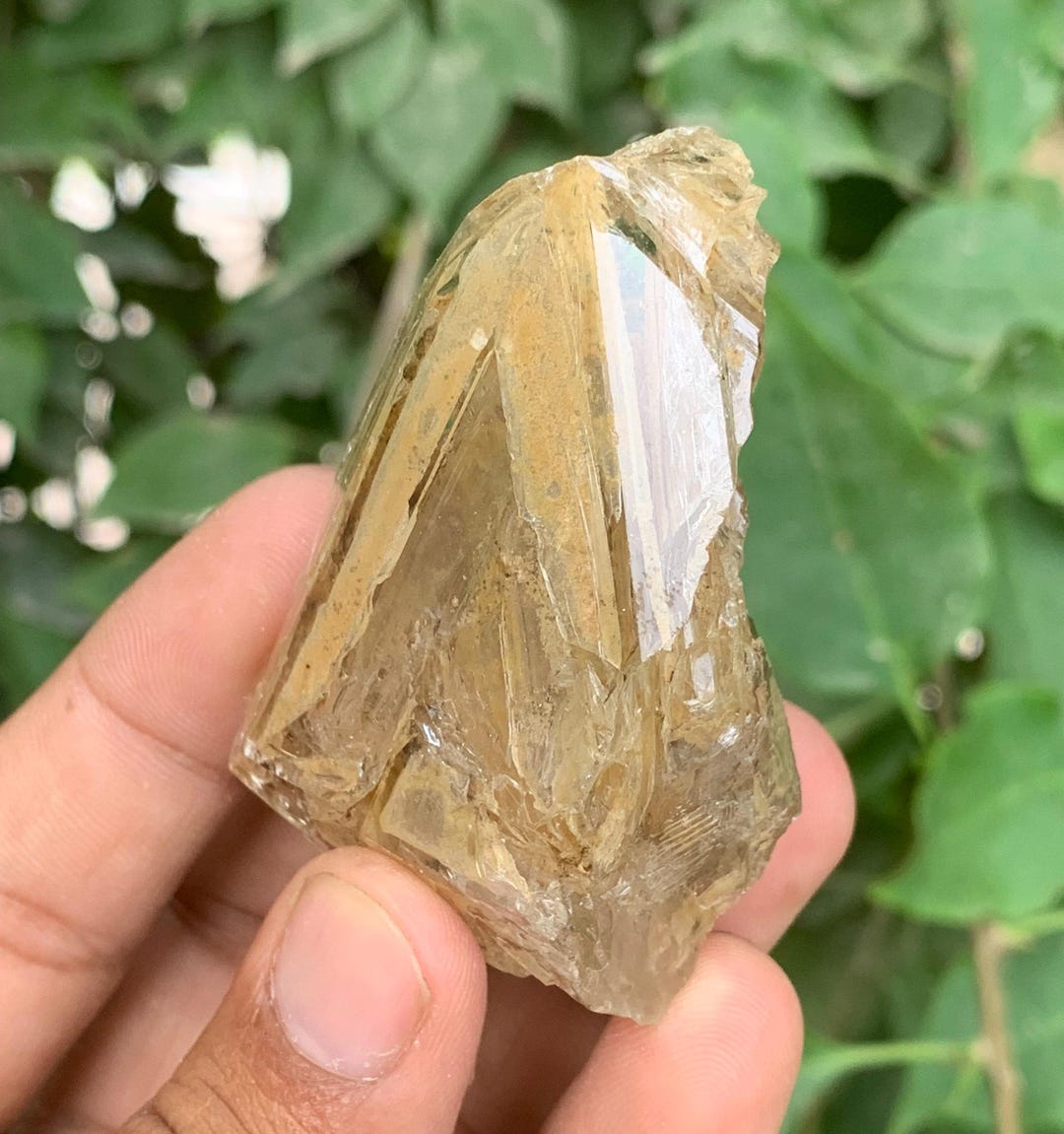 Himalayan Skeletal Quartz / Window Quartz/elestial Quartz/fenster ...